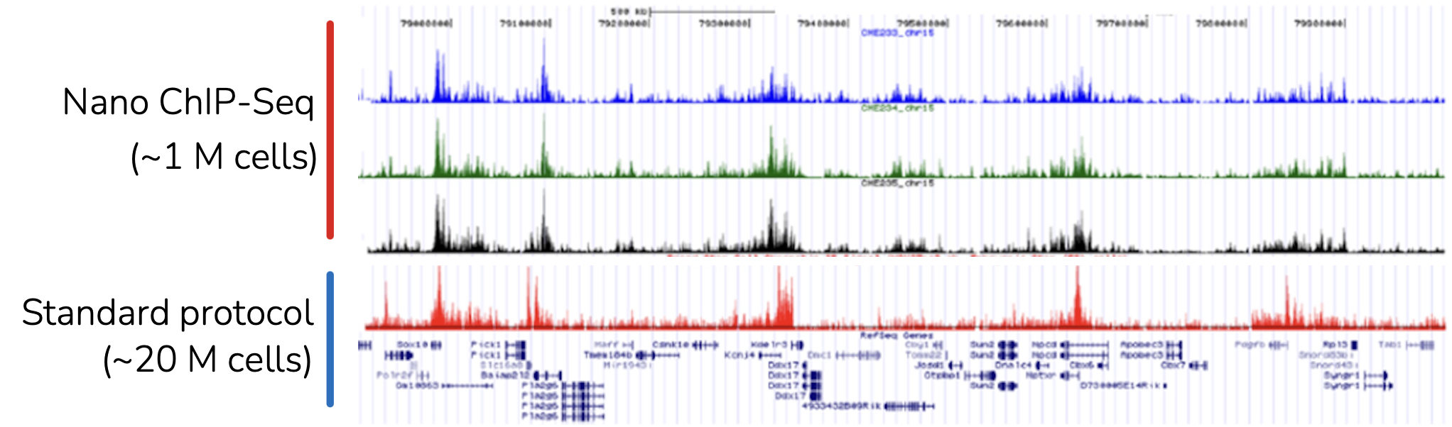 Signomax - Auristone